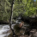 Dry Pond Loop, Nevada - 1,505 Reviews, Map | AllTrails