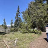 Meadow Loop and Ridge Trail, Colorado - 3,406 Reviews, Map | AllTrails