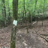 Jones Bridge Trail , Georgia - 2,722 Reviews, Map | AllTrails