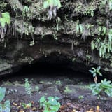 Ma'raa Caves, Tahiti, French Polynesia - 34 Reviews, Map | AllTrails