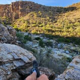 Milagrosa- Canyon Trail, Arizona - 401 Reviews, Map | AllTrails