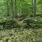 Huckleberry Point Trail, New York - 1,777 Reviews, Map | AllTrails