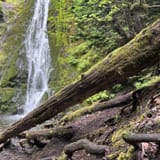 Madison Falls Trail, Washington - 1,726 Reviews, Map | AllTrails