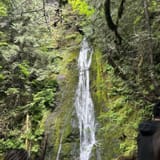 Madison Falls Trail, Washington - 1,726 Reviews, Map | AllTrails