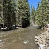 Grotto Falls Trail, Montana - 871 Reviews, Map | AllTrails
