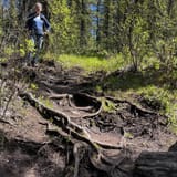 Widow Maker Trail, Alberta, Canada - 589 Reviews, Map | AllTrails