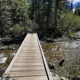 Widow Maker Trail, Alberta, Canada - 506 Reviews, Map | AllTrails