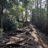 Waimano Falls Trail, Oahu, Hawaii - 5,033 Reviews, Map | AllTrails