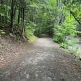 Sabbaday Falls , New Hampshire - 1,441 Reviews, Map | AllTrails
