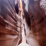 Wire Pass Trail, Utah - 3,026 Reviews, Map | AllTrails