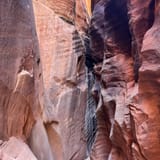 Wire Pass Trail, Utah - 3,026 Reviews, Map | AllTrails