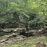 QuiVaLa Elise Falls Trail, Arkansas - 186 Reviews, Map | AllTrails