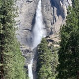 Sentinel Meadow Cook's Meadow Loop Trail, California - 3,617 Reviews ...