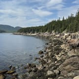 Ocean Path Trail, Maine - 3,554 Reviews, Map | AllTrails