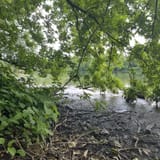 Core Arboretum Loop, West Virginia - 275 Reviews, Map | AllTrails