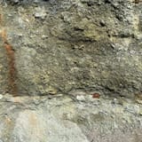 Bear Valley Trail To Coastal Trail, California - 2,003 Reviews, Map ...