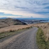 Rapaki Track, Canterbury, New Zealand - 517 Reviews, Map | AllTrails