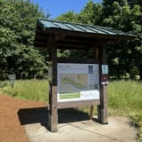 Pre's Trail, Oregon - 868 Reviews, Map | AllTrails