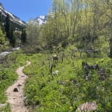 Maroon Bells Scenic Loop Trail, Colorado - 1,778 Reviews, Map | AllTrails