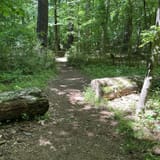 Jones Bridge Trail , Georgia - 2,722 Reviews, Map | AllTrails
