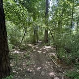 Jones Bridge Trail , Georgia - 2,722 Reviews, Map | AllTrails