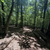 Jones Bridge Trail , Georgia - 2,722 Reviews, Map | AllTrails