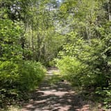 Furry Creek Knob Deck Trail, British Columbia, Canada - 293 Reviews ...