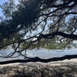 Guana Trail, Marshview Lane, and Shellbluff Road, Florida - 286 Reviews ...