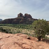 Secret Slick Rock Trail, Arizona - 1,162 Reviews, Map | AllTrails