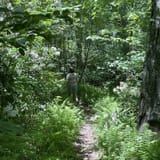 Prettyboy Reservoir Dam, Maryland - 742 Reviews, Map | AllTrails