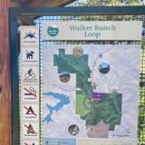Walker Ranch Loop, Colorado - 4,813 Reviews, Map | AllTrails