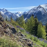 Bird Ridge Trail, Alaska - 1,087 Reviews, Map | AllTrails