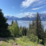 Bird Ridge Trail, Alaska - 1,041 Reviews, Map | AllTrails
