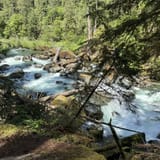 Staircase Rapids Loop, Washington - 2,616 Reviews, Map | AllTrails