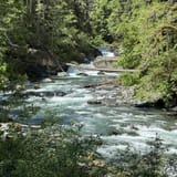 Staircase Rapids Loop, Washington - 2,616 Reviews, Map | AllTrails