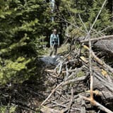 Goodwin Lake Trail, Wyoming - 330 Reviews, Map | AllTrails
