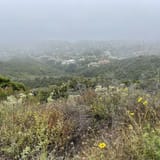 Temescal Canyon Trail, California - 10,426 Reviews, Map | AllTrails
