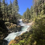 Silver Falls Loop, Washington - 2,921 Reviews, Map | AllTrails