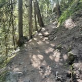 Toketee Falls, Oregon - 2,183 Reviews, Map | AllTrails