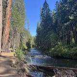 Carlon Falls Trail, California - 1,244 Reviews, Map | AllTrails