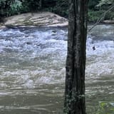 Vickery Creek Trail, Georgia - 4,236 Reviews, Map | AllTrails