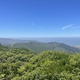 Sweeney Ridge Trail via Mori Ridge, California - 1,545 Reviews, Map ...