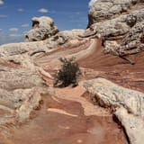 White Pocket Trail, Arizona - 888 Reviews, Map | AllTrails