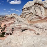 White Pocket Trail, Arizona - 888 Reviews, Map | AllTrails