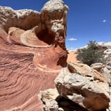White Pocket Trail, Arizona - 888 Reviews, Map | AllTrails