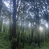 Washington Park Loop, Oregon - 1,739 Reviews, Map | AllTrails