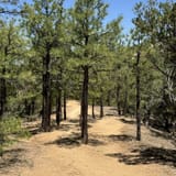 Atalaya Mountain Trail, New Mexico - 2,819 Reviews, Map | AllTrails