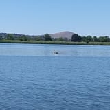 Bateman Island Loop, Washington - 166 Reviews, Map | AllTrails