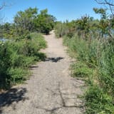 Bateman Island Loop, Washington - 166 Reviews, Map | AllTrails