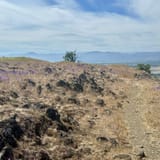 Upper Table Rock Trail, Oregon - 1,821 Reviews, Map | AllTrails